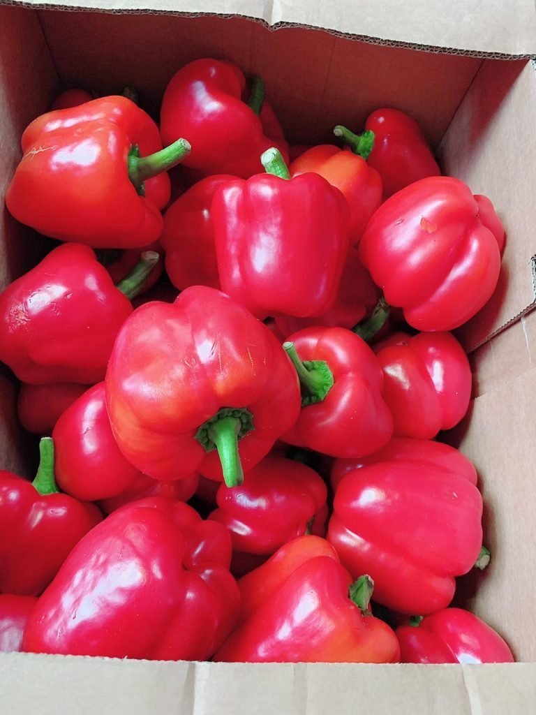 Red Cap Pepper | Lantos Foods